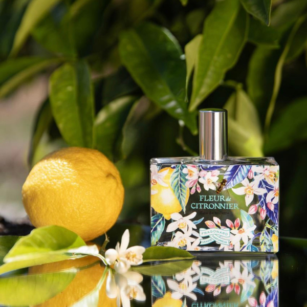 The Beautiful Life Store